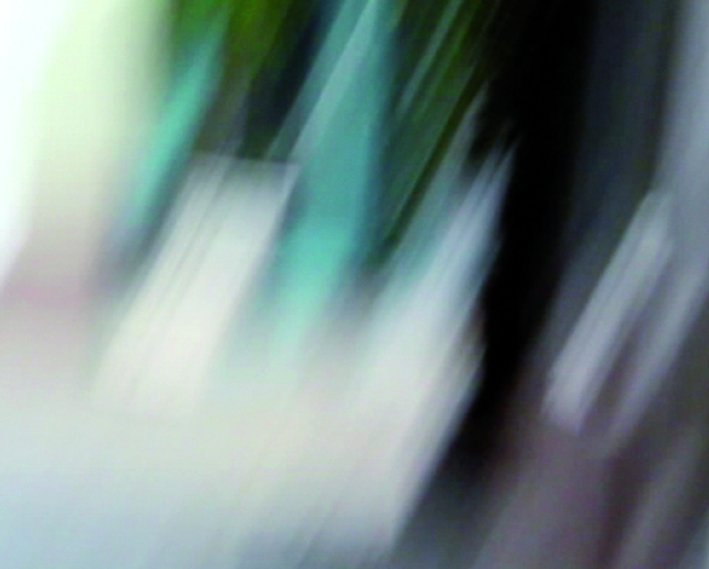 Fragile Frames - Sandra Trösch